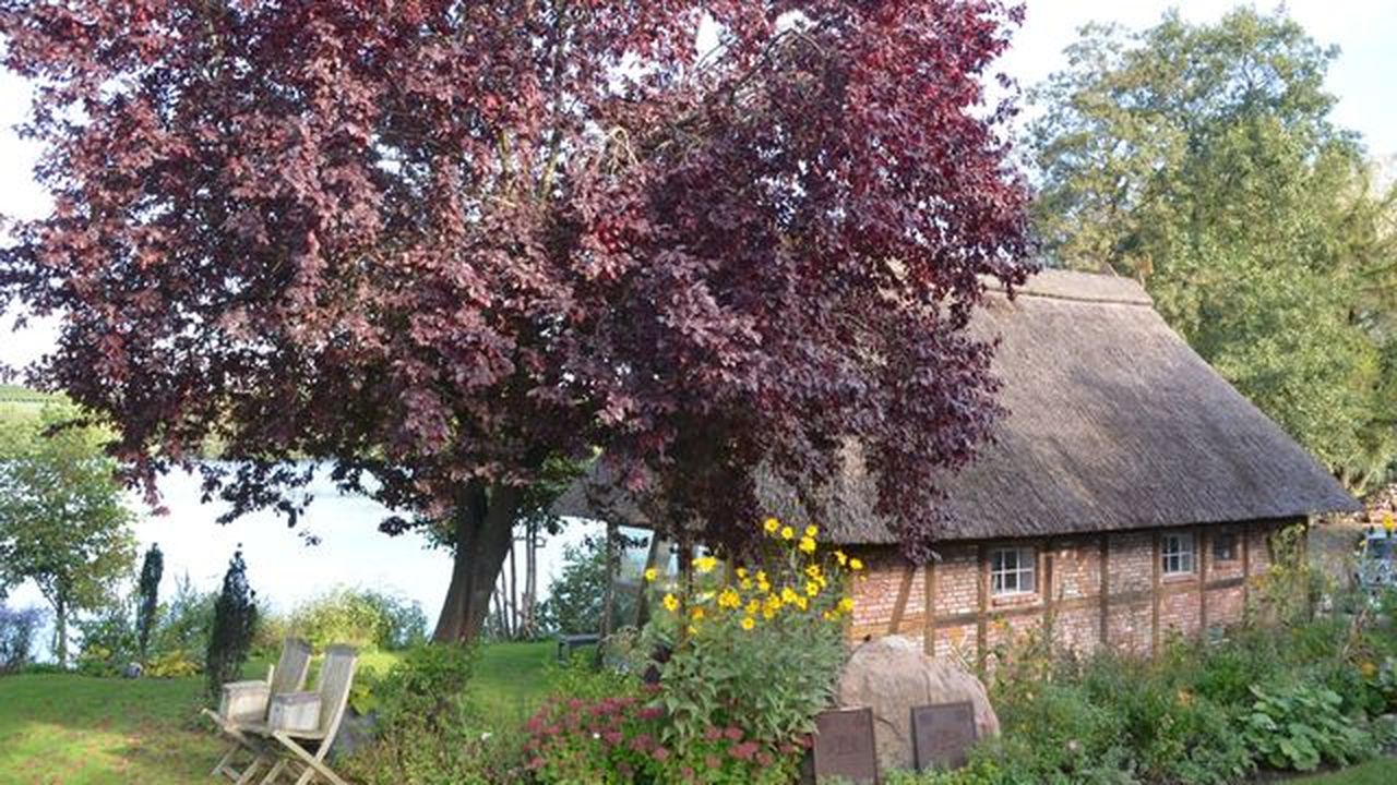 Suite für 4 Personen (75 m²) in Grebin